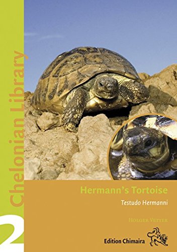 Hermann's Tortoise, Boettger's and Dalmatian Tortoises: Testudo ...