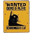 Amazon.com: Schrodinger Cat Enamel Lapel Pin Quantum Badge Brooch For ...