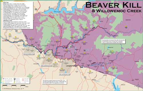 Beaver Kill/Willowemoc Creek 11x17 Fly Fishing Map - MasterBasser