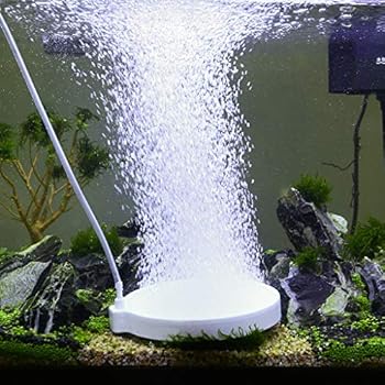 Amazon.com : Upettools Aquarium Air Stones, Fish Tank Bubbler, Nano ...