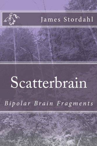 ScatterBrain: Bipolar Brain Fragments: Stordahl, James W: 9781492336525 ...