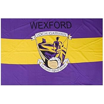 Amazon.com : Wexford Official Ireland GAA Crest County Flag 152cm x91cm ...