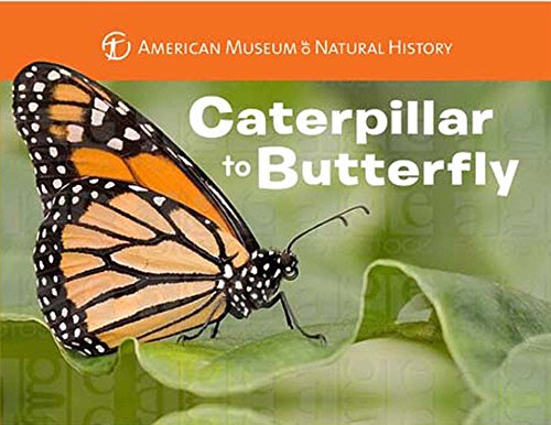 Caterpillar To Butterfly Science For Toddlers Pricepulse