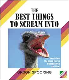The Best Things to Scream Into: Spooring, Orson: 9781984859600: Amazon ...