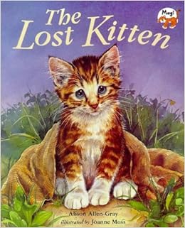The Lost Kitten!: Amazon.co.uk: Alison Allen-Gray, Joanne Moss ...