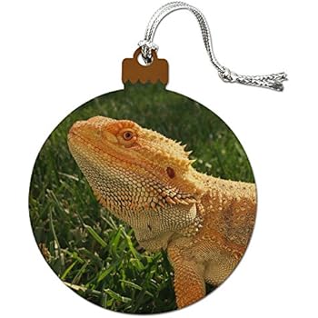 Amazon.com: Bearded Dragon Pet Lizard Reptile Animal Christmas Tree ...
