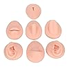 Silicone Body Part Model, 7PC Reused Piercing Practice Body Parts, Ear ...