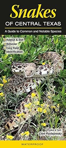 Snakes of Central Texas: A Guide to Common & Notable Species (Quick ...