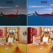 Amazon.com: Animalympics [VHS]: Gilda Radner, Billy Crystal, Harry ...