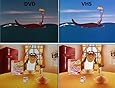 Amazon.com: Animalympics [VHS] : Billy Crystal, Gilda Radner, Harry ...