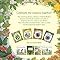 The Gerda Muller Seasons Gift Collection: Spring, Summer, Autumn and ...
