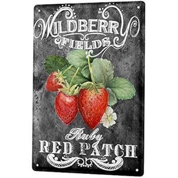 Amazon.com: Tinworld Tin Sign Fresh Strawberries Rustic Garden Metal ...