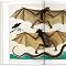 Albertus Seba: Cabinet of Natural Curiosities: SEBA, CURIOSITIES ...