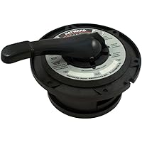 Amazon.com: Hayward SPX0714BA Key, Cover and Handle Assembly ...