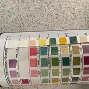 One Step 10 Parameter Professional/GP Urinalysis Multisticks Urine ...