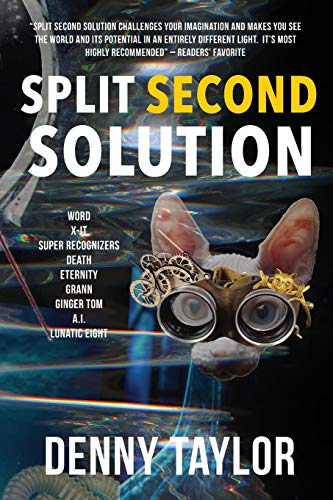 Book review of Split Second Solution - Readers' Favorite: Book Reviews ...