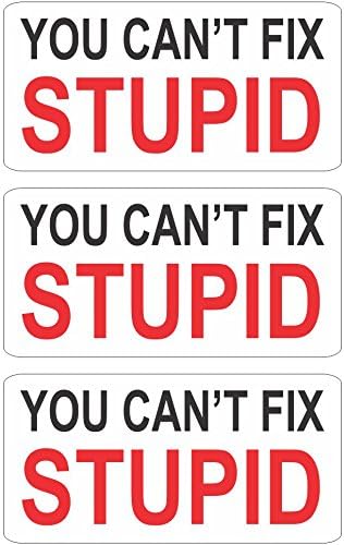 Amazon.com: 3 - You Can't Fix Stupid Hard Hat/Helmet/Toolbox/Lunchbox ...