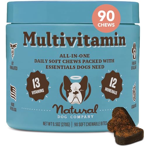The Best Dog Multivitamins In 2024 - Dogtime