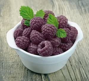 Amazon.com: Royalty Purple Raspberry - Huge 2 Yr. : Everything Else