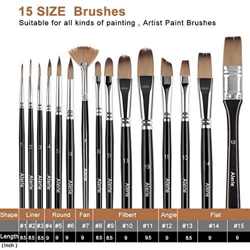 AIZORIS Artist Paint Brush Set, 15 Acrylic Paint Brush Set with Free ...