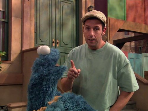 Amazon.com: Sesame Street Season 40 : Alison Bartlett O'Reilly, Desiree ...