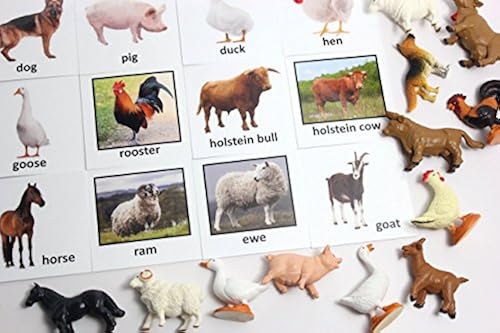 Montessori Animal Match - Miniature Farm Animal Toy Figurines with ...