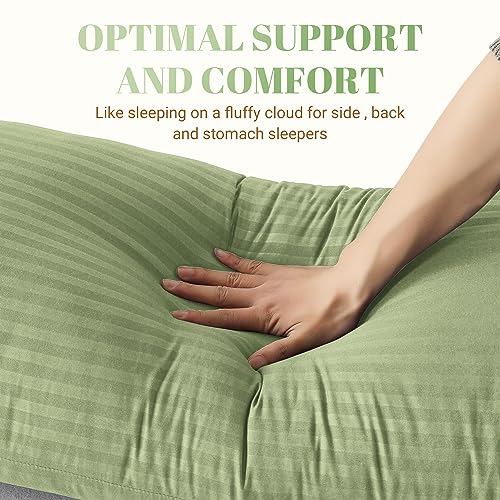 Cosybay Full Body Pillow Insert with Sage Green Pillowcase - Fluffy ...