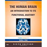 The Human Brain: An Introduction to Its Functional Anatomy ...