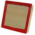 Amazon.com: WIX Air Filter Panel : Patio, Lawn & Garden