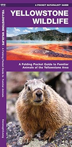 Yellowstone Wildlife: A Folding Pocket Guide to Familiar Animals of the ...