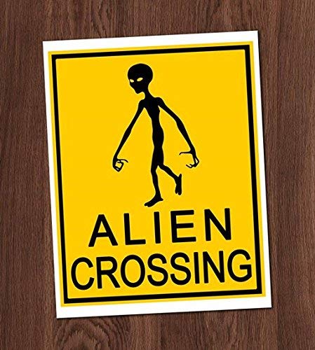 Amazon.com: Alien Grey Crossing Art Print 8x10 Road Sign Wall Art ...