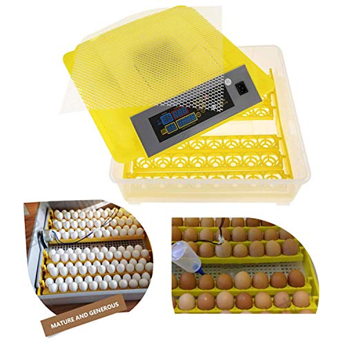 OppsDecor Egg Incubator, 48 Eggs Digital Incubator with Fully Automatic ...