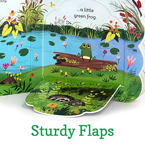 Little Green Frog Chunky Lift-a-Flap Board Book (Babies Love) | Pricepulse
