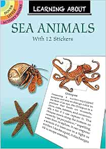 Learning About Sea Animals (Dover Little Activity Books): Sy Barlowe ...