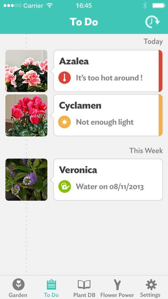 Amazon.com: Parrot Flower Power - Wireless Indoor/Outdoor Bluetooth ...