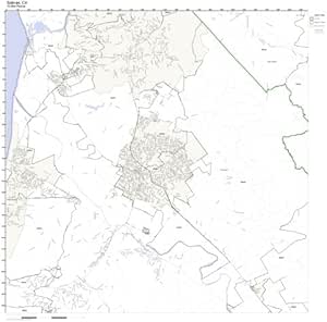 Salinas, CA ZIP Code Map Laminated : Amazon.ca: Office Products
