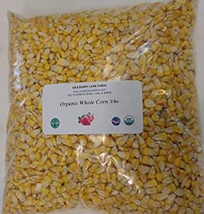 Amazon.com : Whole Corn 2 Pounds Yellow USDA Certified Organic, Non-GMO ...