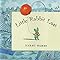 Little Rabbit Lost: Horse, Harry, Horse, Harry: 9781561453450: Amazon ...