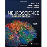 Neuroscience: Exploring the Brain, Fourth Edition by Mark F. Bear ...