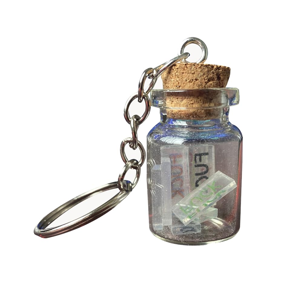 Jar of fu c k s to give Keychain, Mini Jar of Fucks Key Chain, Colorful ...