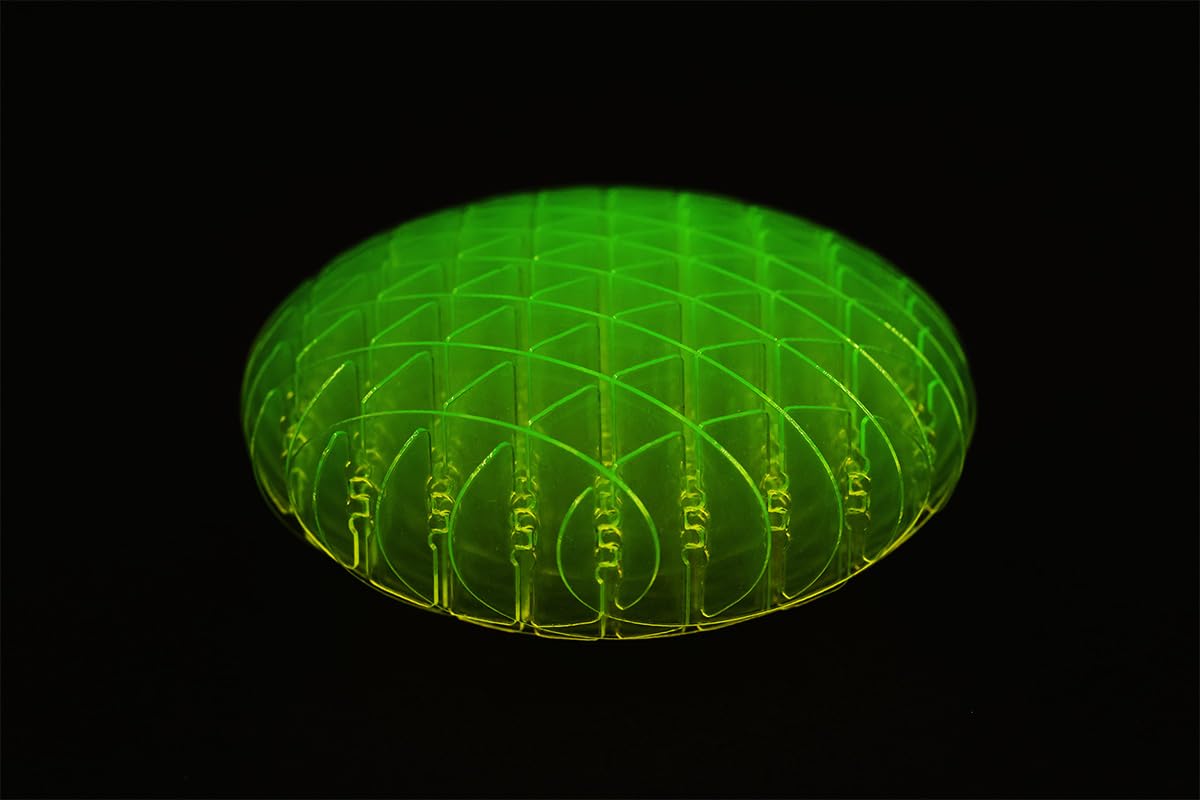 Mua Morf Fidget Worm Toy - Desk Fidgets For Adults, Quiet Morph Worm ...