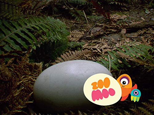 Watch Growing Up - Season 1 | Prime Video