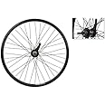Amazon.com : Wheel Master 24" Cruiser/Comfort Rear Wheel - Weinmann ...