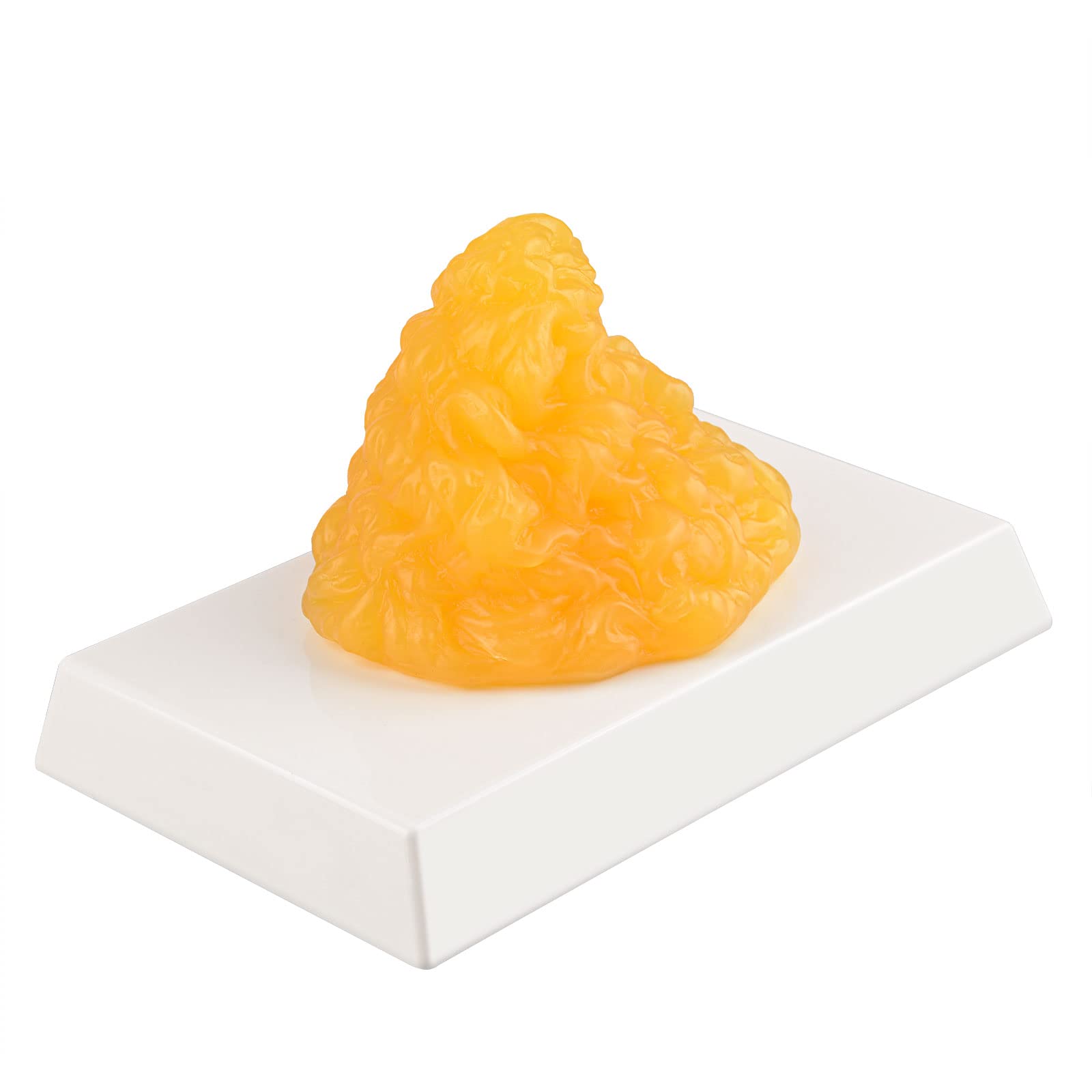 Human Body Fat Replica 1 Lb With Display Base, Keep Fit & Weight Loss ...