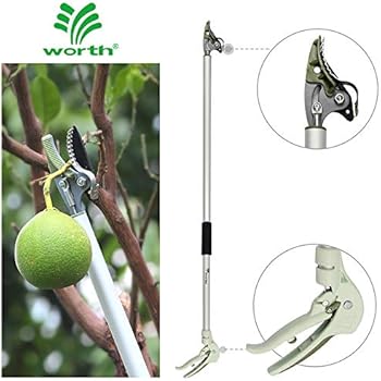 Amazon.com : Worth Garden Long Reach Tree Pruner, 4ft Lightweight Cut ...