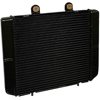 Amazon.com: Brand New ATV Radiator: Polaris Sportsman 570 EFI 2016 ...