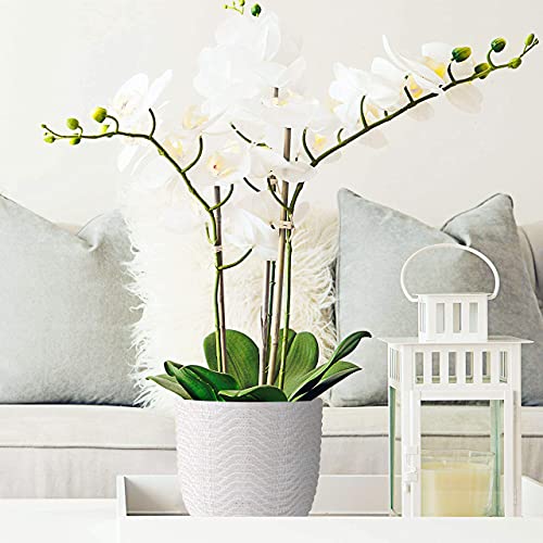 INSPIRELLA Timeless Plant Pot – 6.5" Stunningly Detailed Ceramic Pots ...