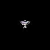 Amazon.com: Lux Prima: CDs & Vinyl