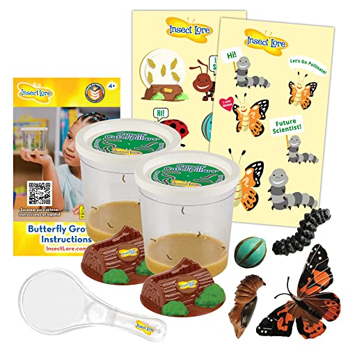 Insect Lore Two Cups of Caterpillars with Dual Lens Magnifier and ...