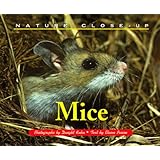 Nature Close-Up - Earthworms: Elaine Pascoe: 9781567111774: Amazon.com ...